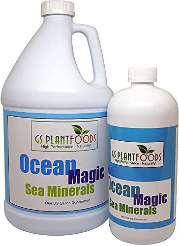 Ocean Magic Sea Mineral Fertilizer by GS Plant Foods(1 Gallon) - Soil Mineral Health Improvement Liquid Concentrate - Sea Minerals for Lawn and Turf, Gardens & House Plants