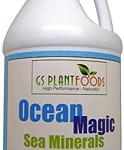 Ocean Magic Sea Mineral Fertilizer by GS Plant Foods(1 Gallon) - Soil Mineral Health Improvement Liquid Concentrate - Sea Minerals for Lawn and Turf, Gardens & House Plants