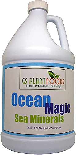 Ocean Magic Sea Mineral Fertilizer by GS Plant Foods(1 Gallon) - Soil Mineral Health Improvement Liquid Concentrate - Sea Minerals for Lawn and Turf, Gardens & House Plants