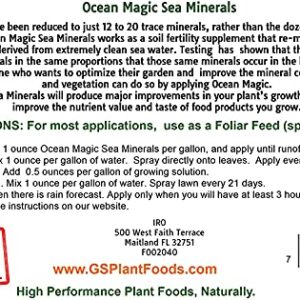 Ocean Magic Sea Mineral Fertilizer by GS Plant Foods(1 Gallon) - Soil Mineral Health Improvement Liquid Concentrate - Sea Minerals for Lawn and Turf, Gardens & House Plants