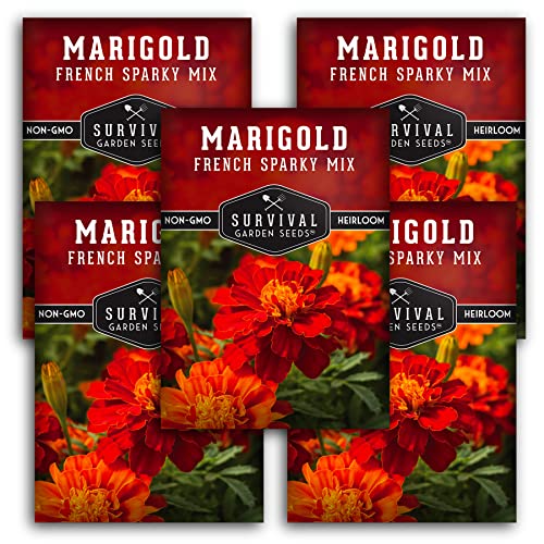 Survival Garden Seeds - French Sparky Marigold Seed for Planting - 5 Packs with Instructions to Plant and Grow Large Tagetes Patula Flowers in Your Home Vegetable Garden - Non-GMO Heirloom Variety