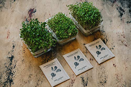 Self-Watering Microgreens Growing Kit - 3 Micro Greens from Organic Non-GMO Seeds - Window Garden or Counter Top - 3 Biodegradable Bamboo Seed Sprouting Pads + Microgreen Tray + Grow Guide