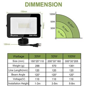 Royana 30W LED Flood Light Outdoor with Plug, IP65 Waterproof LED Work Lights, 6000K 3000LM Super Bright Security Light, Portable Daylight White Floodlight Spotlight for Yard Garden Court Lawn