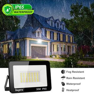 Royana 30W LED Flood Light Outdoor with Plug, IP65 Waterproof LED Work Lights, 6000K 3000LM Super Bright Security Light, Portable Daylight White Floodlight Spotlight for Yard Garden Court Lawn