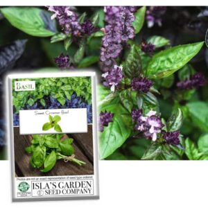 “sweet cinnamon” basil herb seeds for planting, 500+ heirloom seeds per packet, (isla’s garden seeds), non gmo seeds, botanical name: ocimum basilicum ‘cinnamon’, great home garden gift