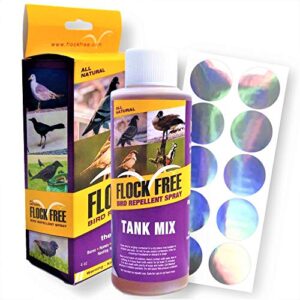 flock free bird repellent spray, residential bird problem solution bird control, 4 oz concentrate (1)