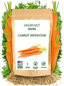 imperator carrot seeds for planting – 914+ heirloom, non-gmo seeds – 100% usa grown – easy to grow long tapered carrots with sweet flavor – suitable for indoors and outdoors home vegetable garden