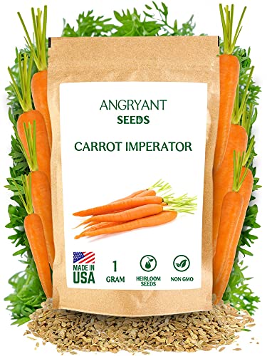 Imperator Carrot Seeds for Planting - 914+ Heirloom, Non-GMO Seeds - 100% USA Grown - Easy to Grow Long Tapered Carrots with Sweet Flavor - Suitable for Indoors and Outdoors Home Vegetable Garden