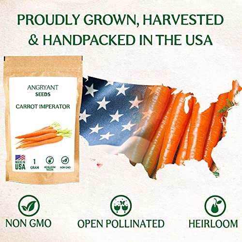 Imperator Carrot Seeds for Planting - 914+ Heirloom, Non-GMO Seeds - 100% USA Grown - Easy to Grow Long Tapered Carrots with Sweet Flavor - Suitable for Indoors and Outdoors Home Vegetable Garden