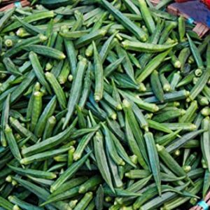 TKE Farms-Clemson Spineless Okra Seeds for Planting, 6 Grams ≈ 100 Seeds, Abelmoschus esculentus