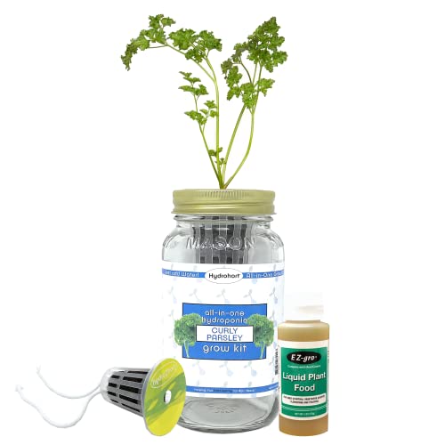 Curly Parsley Herb Growing Kit by Hydrohort | Growing Parsley Seeds is Easy with Our Mason Jar Herb Garden Starter Kit | Parsley Seeds for Planting are Perfect in Our Herb Kit