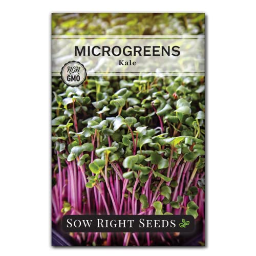 Sow Right Seeds - Microgreens Seed Sample Pack - 9 Packets of Healthy Superfoods to Sprout and Grow Indoors on Your Kitchen Counter. Broccoli, Cress, Sunflower, Arugula, Kale, Radish, Pea, and More