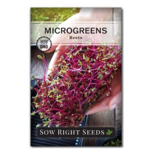 Sow Right Seeds - Microgreens Seed Sample Pack - 9 Packets of Healthy Superfoods to Sprout and Grow Indoors on Your Kitchen Counter. Broccoli, Cress, Sunflower, Arugula, Kale, Radish, Pea, and More