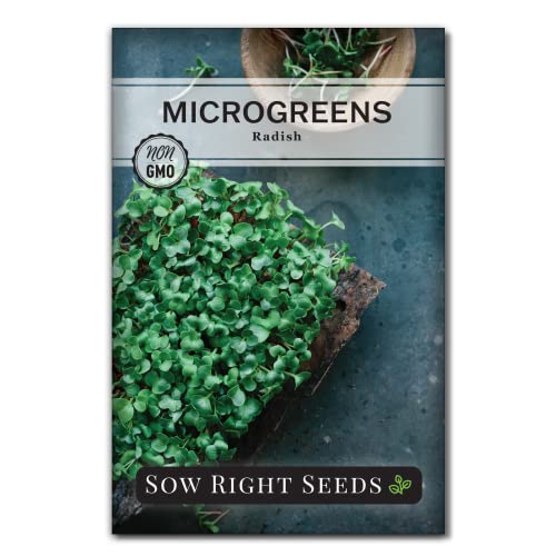 Sow Right Seeds - Microgreens Seed Sample Pack - 9 Packets of Healthy Superfoods to Sprout and Grow Indoors on Your Kitchen Counter. Broccoli, Cress, Sunflower, Arugula, Kale, Radish, Pea, and More