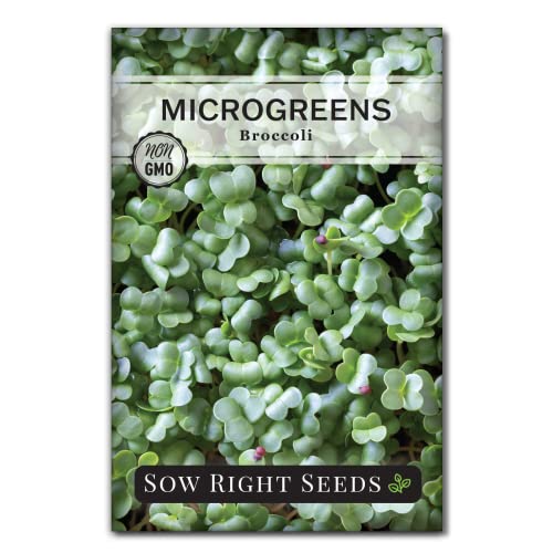 Sow Right Seeds - Microgreens Seed Sample Pack - 9 Packets of Healthy Superfoods to Sprout and Grow Indoors on Your Kitchen Counter. Broccoli, Cress, Sunflower, Arugula, Kale, Radish, Pea, and More