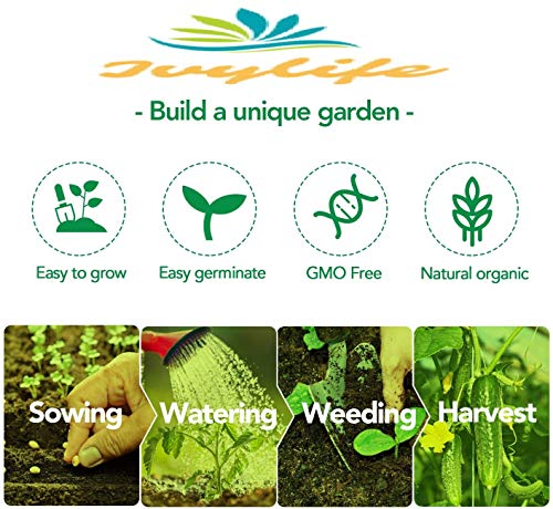 Set of 20 Assorted Organic Vegetable Seeds & Herb Seeds for Planting 20 Varieties Create a Deluxe Garden All Seeds are Heirloom, 100% Non-GMO Lettuce Seeds, Sweet & Hot Pepper Seeds, Green Onion Seeds