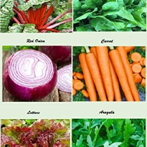 Set of 20 Assorted Organic Vegetable Seeds & Herb Seeds for Planting 20 Varieties Create a Deluxe Garden All Seeds are Heirloom, 100% Non-GMO Lettuce Seeds, Sweet & Hot Pepper Seeds, Green Onion Seeds