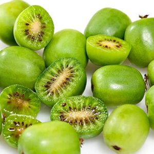 hardy kiwi seeds actinidia arguta seeds perennial gmo free fragrant showy fruit & berries climber trellises fences pergolas outdoor 10pcs fruit seeds by yegaol garden