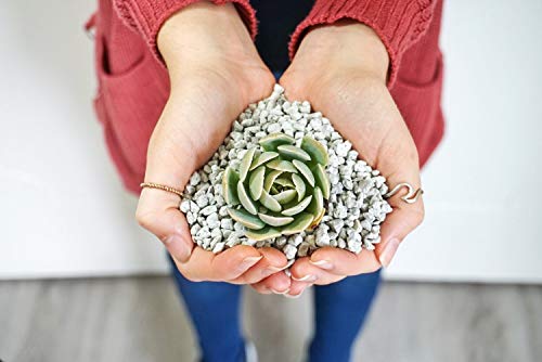 3 Gallon Bag Garden Pumice (3/16" Stone) 13lbs