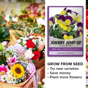 Violet, Johnny Jump Up Flower Seeds for Planting - Flower Seed Packet Annual Flower Open Pollinated, Non-GMO Variety- 1 Gram Seeds Great for Summer Seeds for Flower Gardens by Gardeners Basics