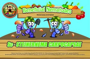 bug sales beneficial nematodes steinernema carpocapsae sc – 50 million