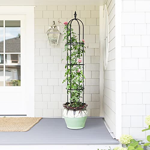 Garden Obelisk Trellis for Climbing Plants Outdoor 6 Ft Rose Bush Round Trellis for Pots Rustproof Metal Plant Flower Trellises for Clematis Vine Jasmine Support Outdoor Indoor