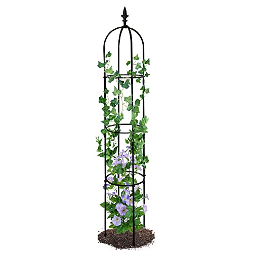 Garden Obelisk Trellis for Climbing Plants Outdoor 6 Ft Rose Bush Round Trellis for Pots Rustproof Metal Plant Flower Trellises for Clematis Vine Jasmine Support Outdoor Indoor