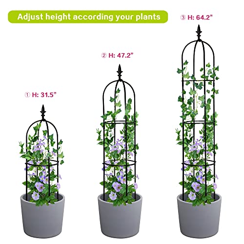 Garden Obelisk Trellis for Climbing Plants Outdoor 6 Ft Rose Bush Round Trellis for Pots Rustproof Metal Plant Flower Trellises for Clematis Vine Jasmine Support Outdoor Indoor