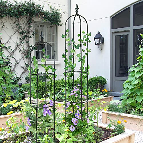 Garden Obelisk Trellis for Climbing Plants Outdoor 6 Ft Rose Bush Round Trellis for Pots Rustproof Metal Plant Flower Trellises for Clematis Vine Jasmine Support Outdoor Indoor