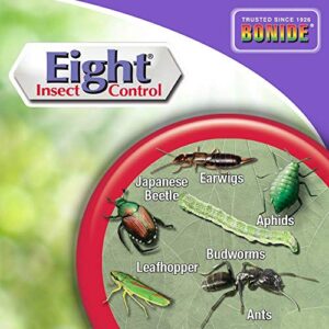 Bonide Eight Insect Control Garden & Home, 128 oz Ready-to-Use with Sprayer, Insecticide for Outdoors, Kills Beetles, Aphids, Ants