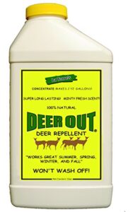 deer out 32oz concentrate deer repellent