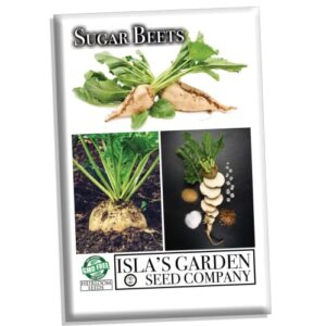 sugar beets, 100+ heriloom seeds per packet, (isla’s garden seeds), non gmo seeds, botanical name: beta vulgaris subsp. vulgaris convar. vulgaris var. altissima