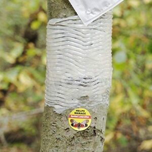 Tree Banding DIY Insect Adhesive Barrier Kit by Catchmaster - 1 Count 15 Oz Protective Sticky Trap with Spreader, Ready for Use Outdoors. Glue Bug Weather-Proof Environment-Friendly Non-Toxic