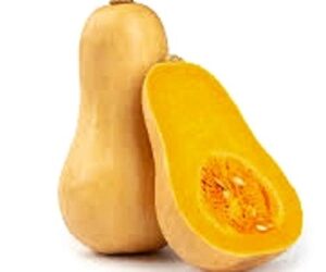 30 butternut winter squash seeds | non-gmo | fresh garden seeds