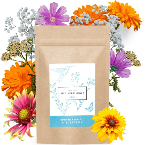 Bird & Butterfly Wildflower Pollinator Mix - 65,000+ Seeds Perennial & Annual Flowers - Planting Outdoors for Hummingbirds & More - Calendula, Yarrow, Poppy, Baby's Breath