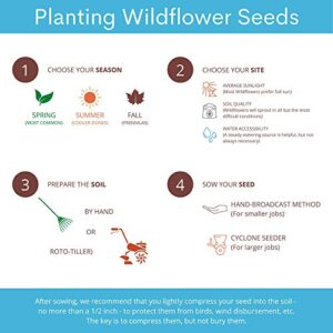 Bird & Butterfly Wildflower Pollinator Mix - 65,000+ Seeds Perennial & Annual Flowers - Planting Outdoors for Hummingbirds & More - Calendula, Yarrow, Poppy, Baby's Breath