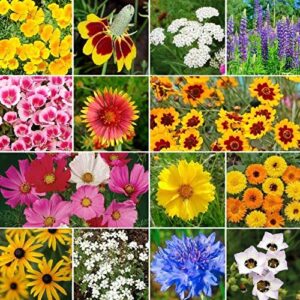 Bird & Butterfly Wildflower Pollinator Mix - 65,000+ Seeds Perennial & Annual Flowers - Planting Outdoors for Hummingbirds & More - Calendula, Yarrow, Poppy, Baby's Breath