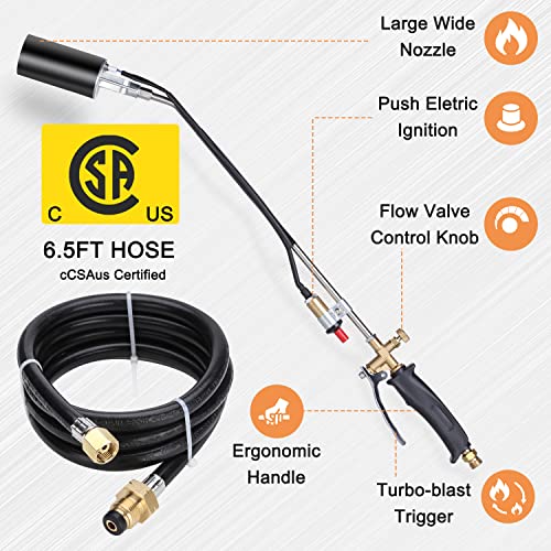 NOENOUGH Propane Torch Weed Burner Torch High Output 800,000 BTU with 6.5ft Hose Heavy Duty Blow Torch with Flame Control and Turbo Trigger Push Button Igniter for Garden Stumps Wood Ice Snow Roofing