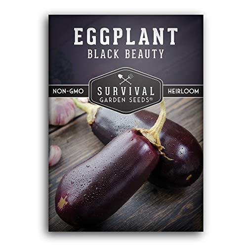 Survival Garden Seeds - Black Beauty Eggplant Seed for Planting - Packet with Instructions to Plant and Grow Purple Aubergine Plants in Your Home Vegetable Garden - Non-GMO Heirloom Variety