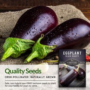 Survival Garden Seeds - Black Beauty Eggplant Seed for Planting - Packet with Instructions to Plant and Grow Purple Aubergine Plants in Your Home Vegetable Garden - Non-GMO Heirloom Variety