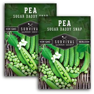 survival garden seeds – sugar daddy snap pea seed for planting – 2 packs with instructions to plant and grow in delicious pea pods your home vegetable garden – non-gmo heirloom variety