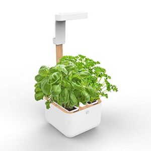 véritable botaneo eylo garden – indoor garden – kit with 2 lingot automatic led lighting