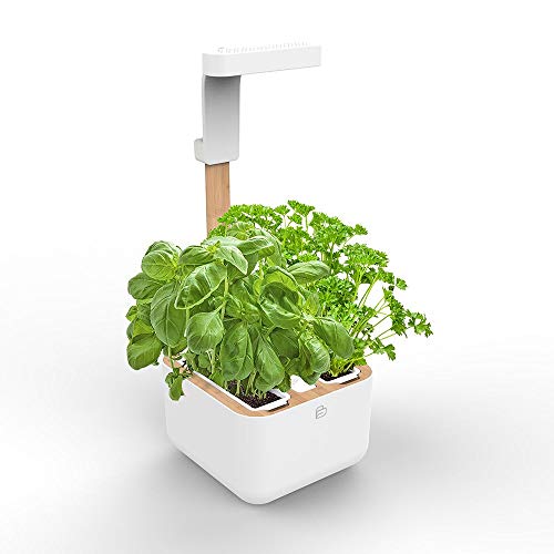 Véritable Botaneo Eylo Garden - Indoor Garden - Kit with 2 Lingot Automatic LED Lighting