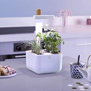 Véritable Botaneo Eylo Garden - Indoor Garden - Kit with 2 Lingot Automatic LED Lighting