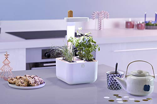 Véritable Botaneo Eylo Garden - Indoor Garden - Kit with 2 Lingot Automatic LED Lighting