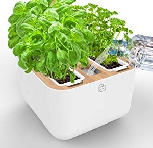 Véritable Botaneo Eylo Garden - Indoor Garden - Kit with 2 Lingot Automatic LED Lighting