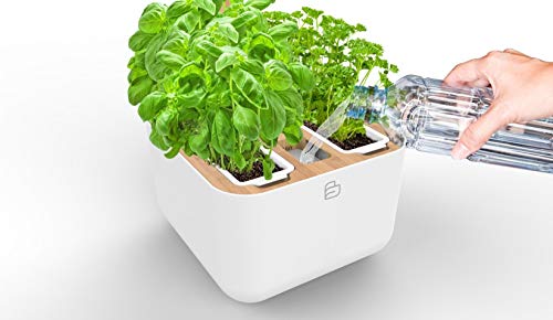 Véritable Botaneo Eylo Garden - Indoor Garden - Kit with 2 Lingot Automatic LED Lighting