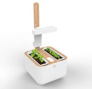 Véritable Botaneo Eylo Garden - Indoor Garden - Kit with 2 Lingot Automatic LED Lighting