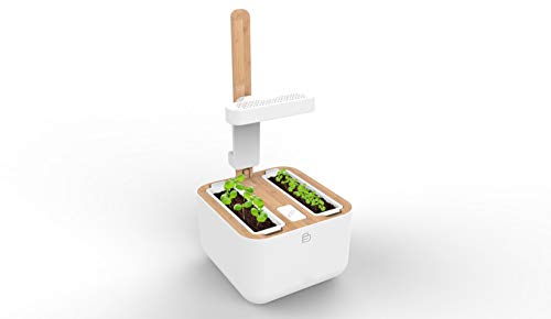 Véritable Botaneo Eylo Garden - Indoor Garden - Kit with 2 Lingot Automatic LED Lighting