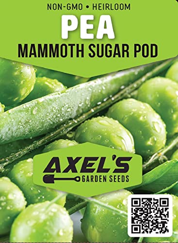 Bulk Pea Seeds for Planting - Grow Mammoth Snow Melting Sugar Pod Peas in Home Outdoor Garden - Non-GMO Heirloom with Instructions to Plant a Home Vegetable Garden (4 Ounces)